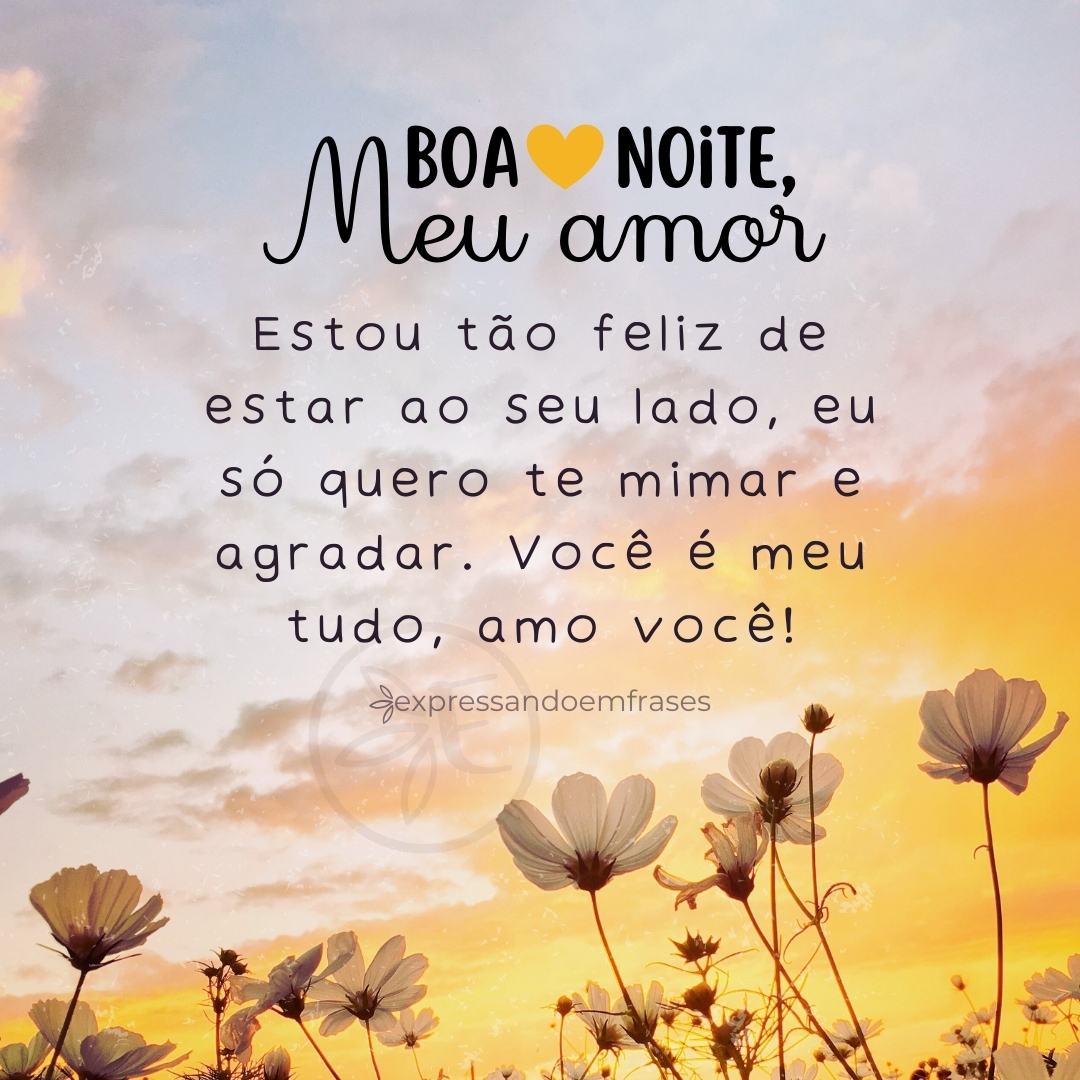 Boa noite, meu amor – 40 Frases Para Demonstrar Atenção e Carinho ...